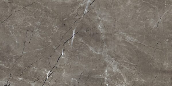 Nebula Grey - Exocera