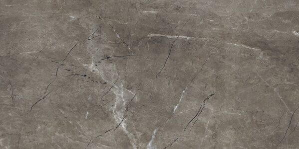 Nebula Grey - Exocera